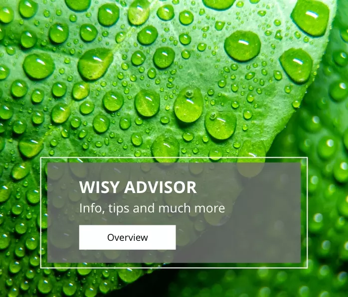 WISY AG - Rainwater is our passion